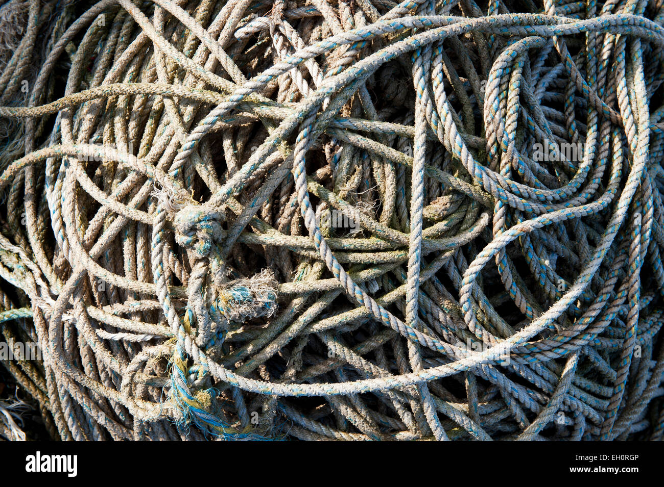 Rope knot strength illustration hi-res stock photography and images - Alamy
