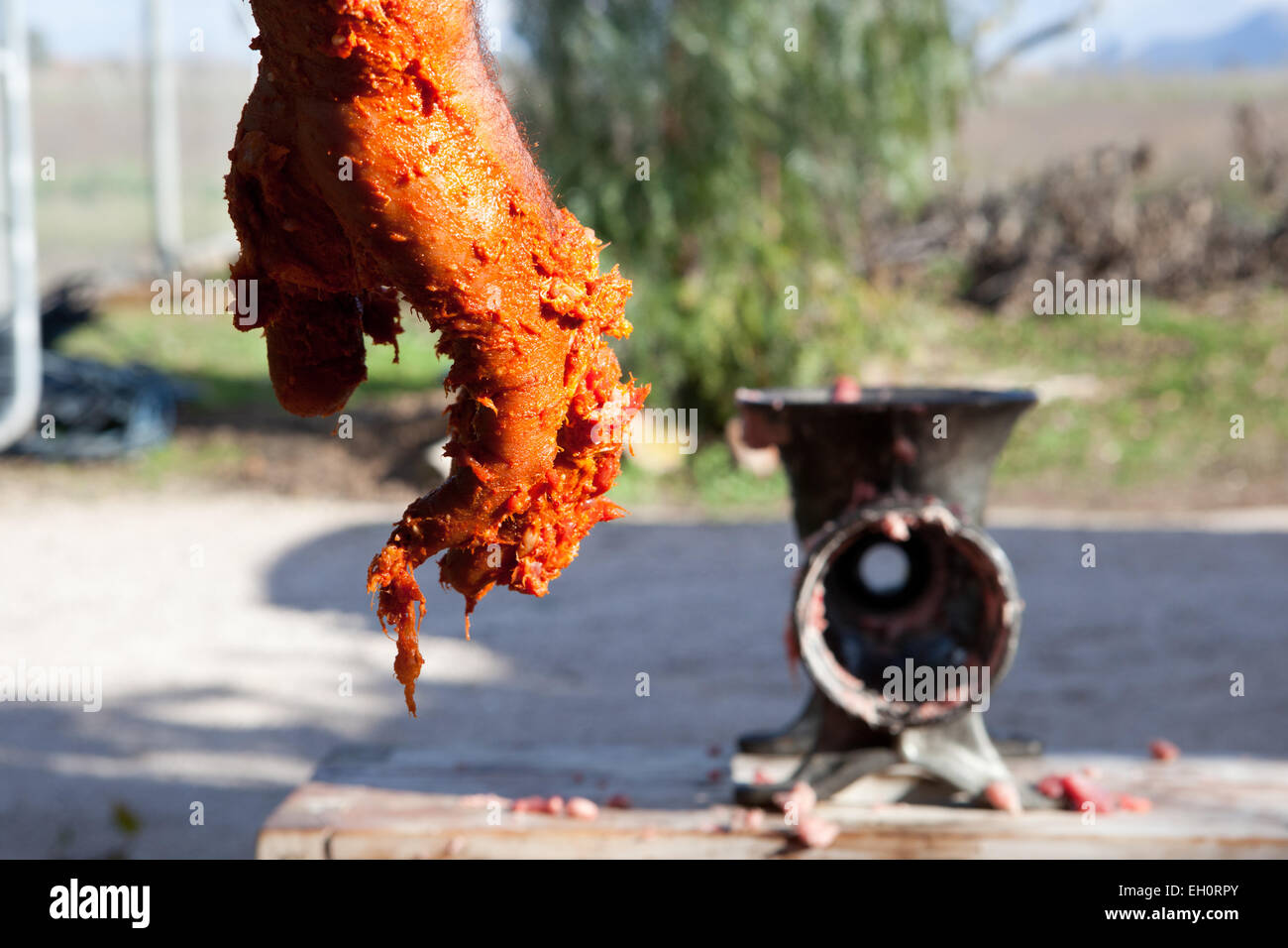 Hand meat mincer hi-res stock photography and images - Alamy