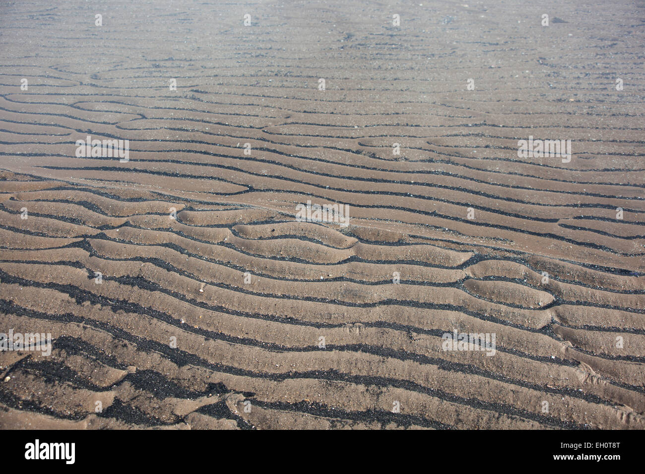 Sandy rippled surface shells hi-res stock photography and images - Alamy