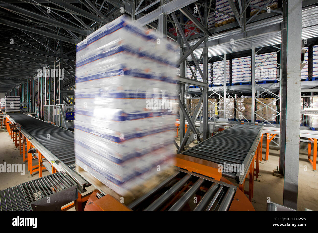 A UK cold store 2010: All items stored at minus 20 degrees centegrade ...