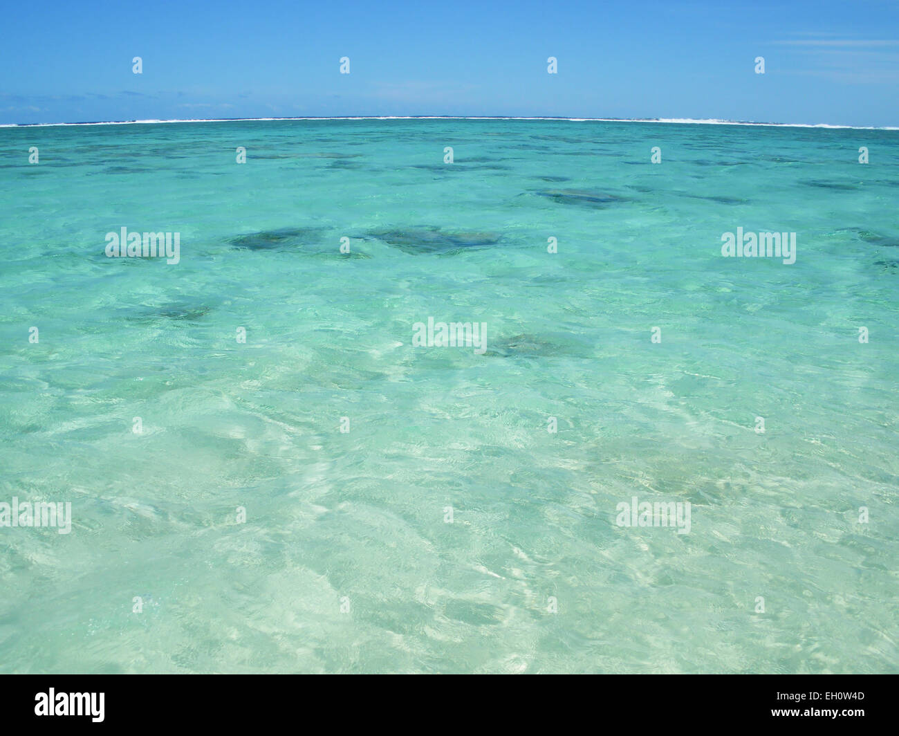 Beautiful tropical ocean beach with blue sky and vibrant colors Stock ...