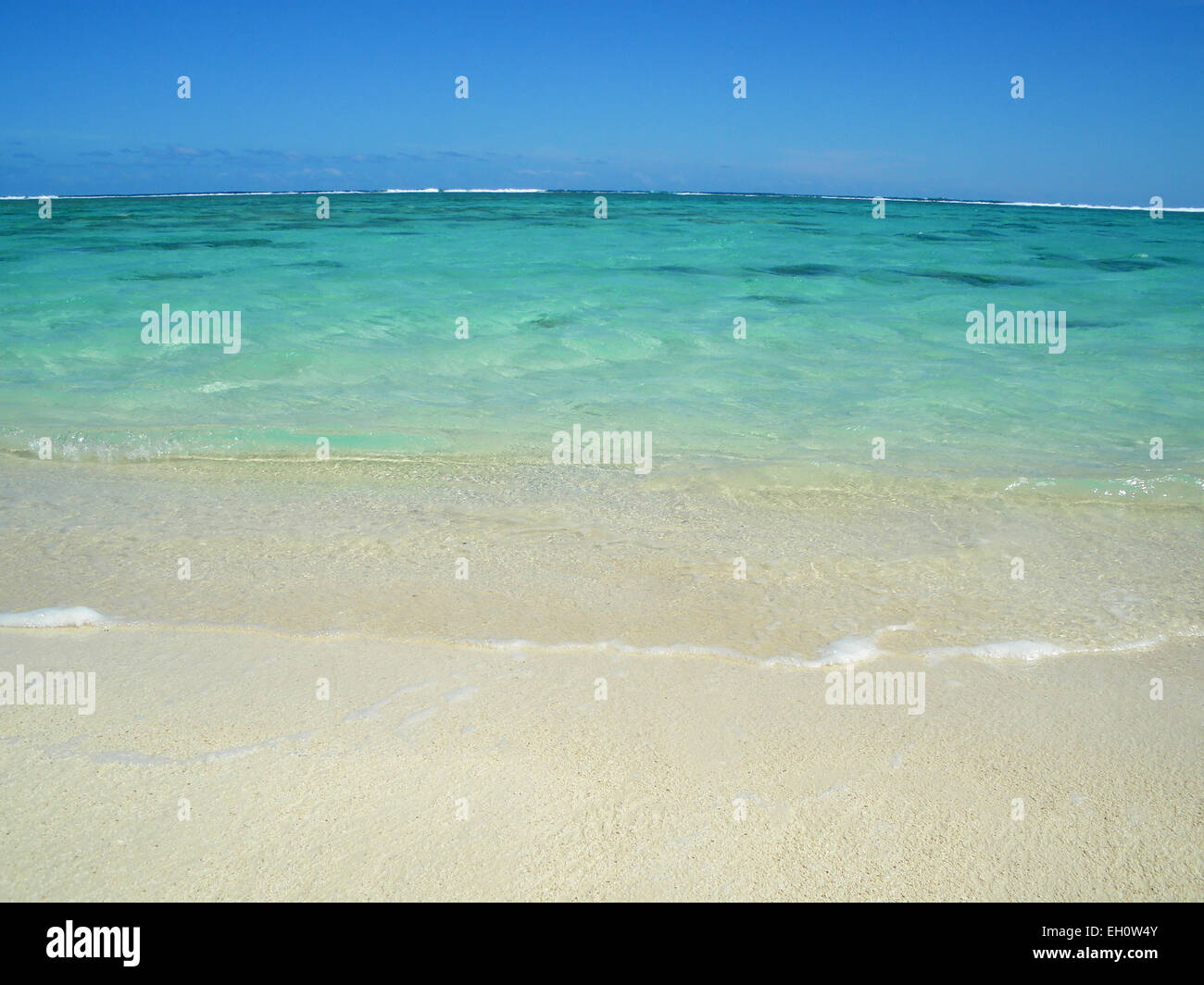 Beautiful tropical ocean beach with blue sky and vibrant colors in ...