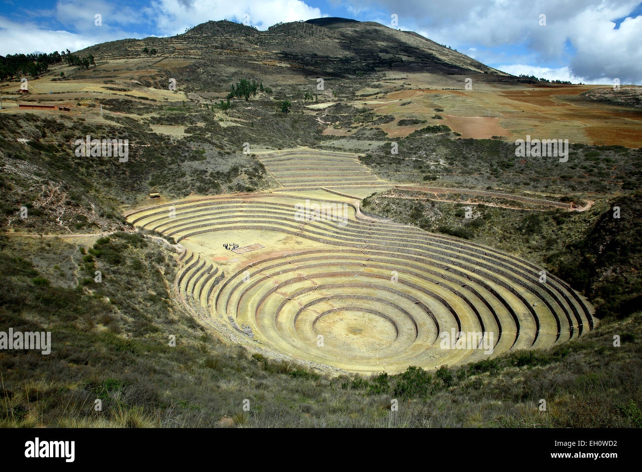 Concentric agricultural terraces, Moray Inca ruins, Cusco, Peru Stock ...