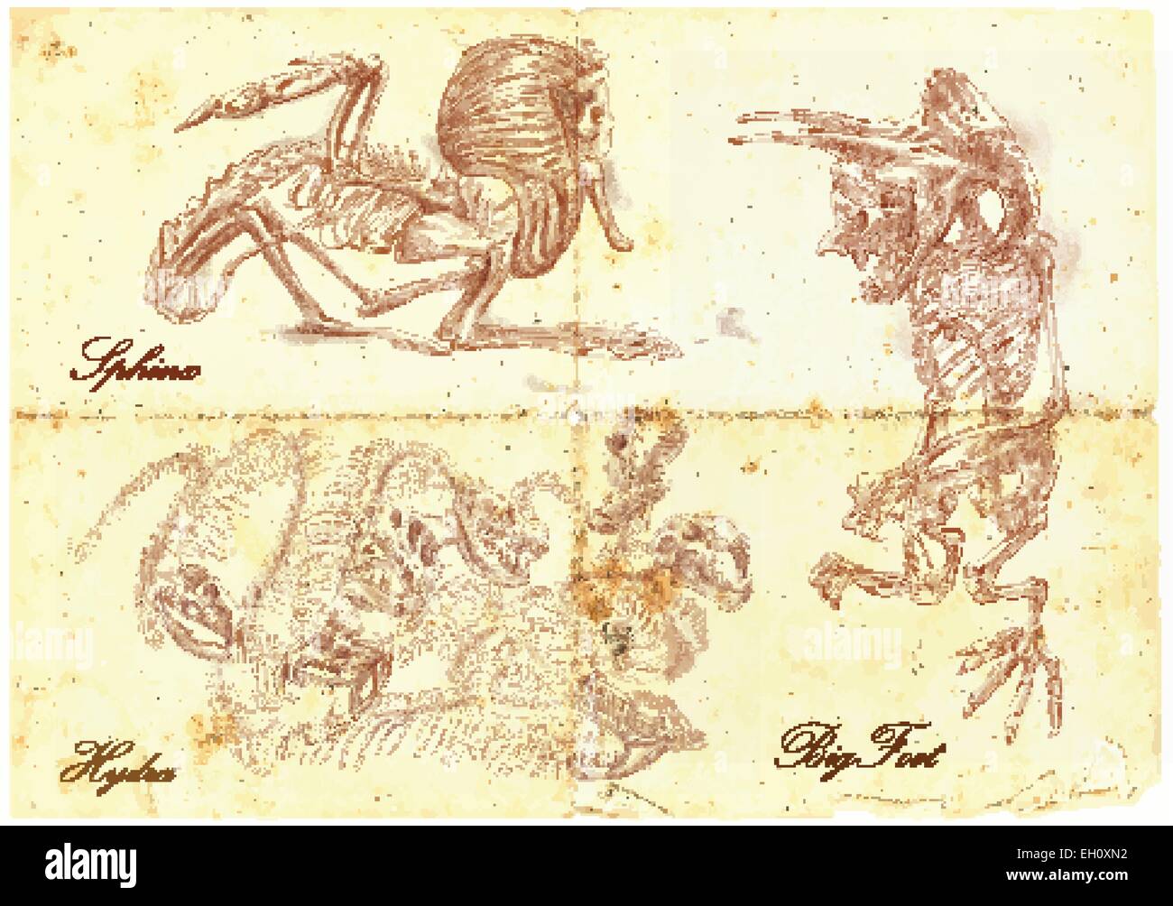 An hand drawn vector illustration. Series of legendary animals and ...