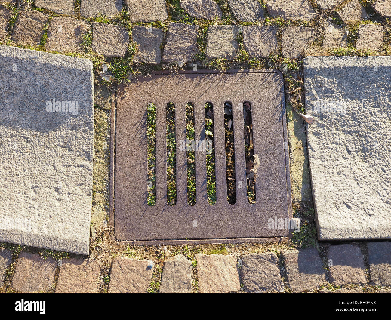 Drain gutter grid for rain water collection Stock Photo - Alamy