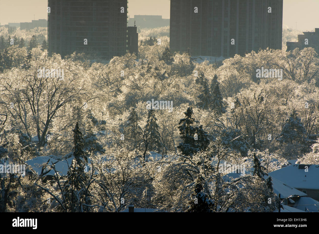 A view of Trees covered in ice after a winter storm as seen from above ...