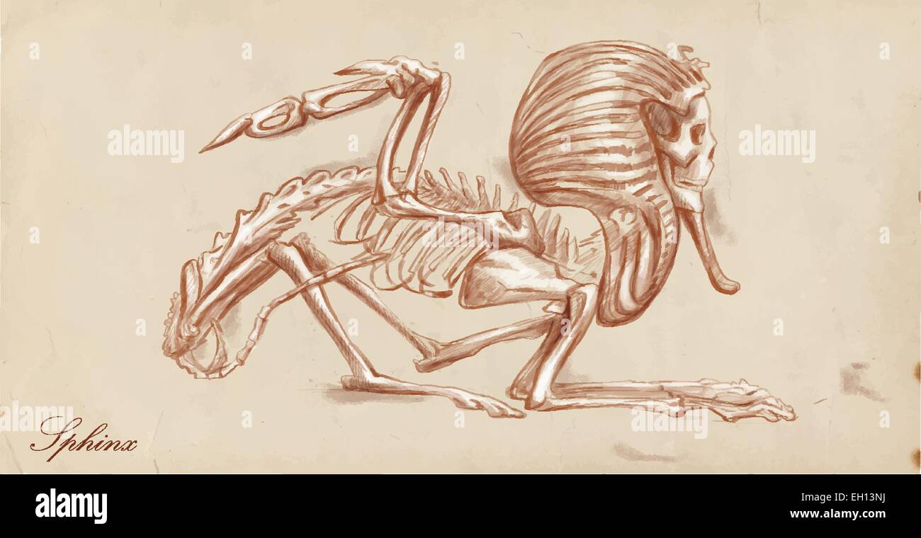 An hand drawn vector illustration. Series of legendary animals and ...