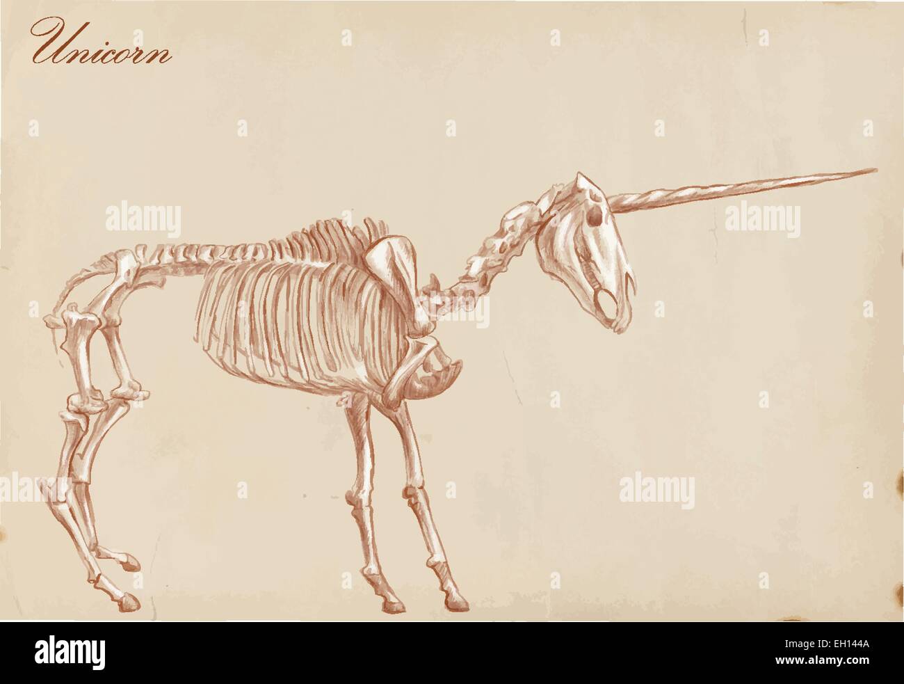 An hand drawn vector illustration. Series of legendary animals and ...