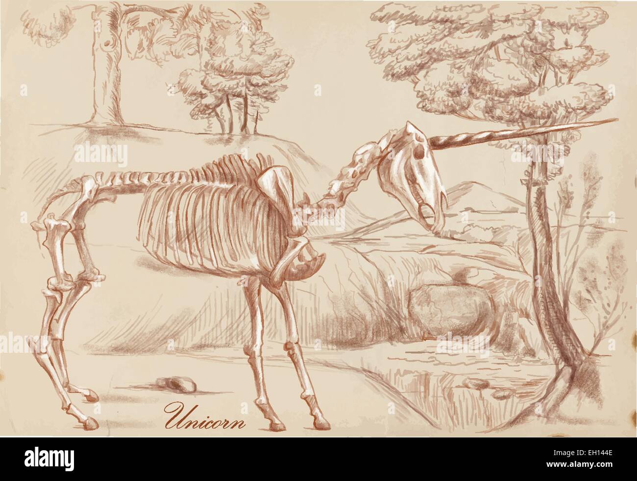 An hand drawn vector illustration. Series of legendary animals and ...