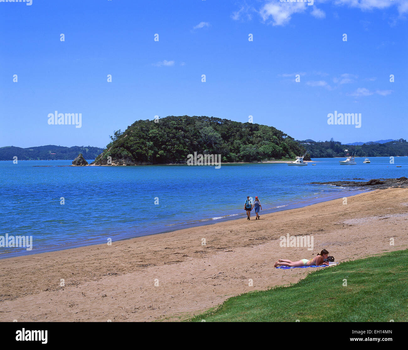 Beach and foreshore, Paihia, Bay of Islands, Northland Region, North ...