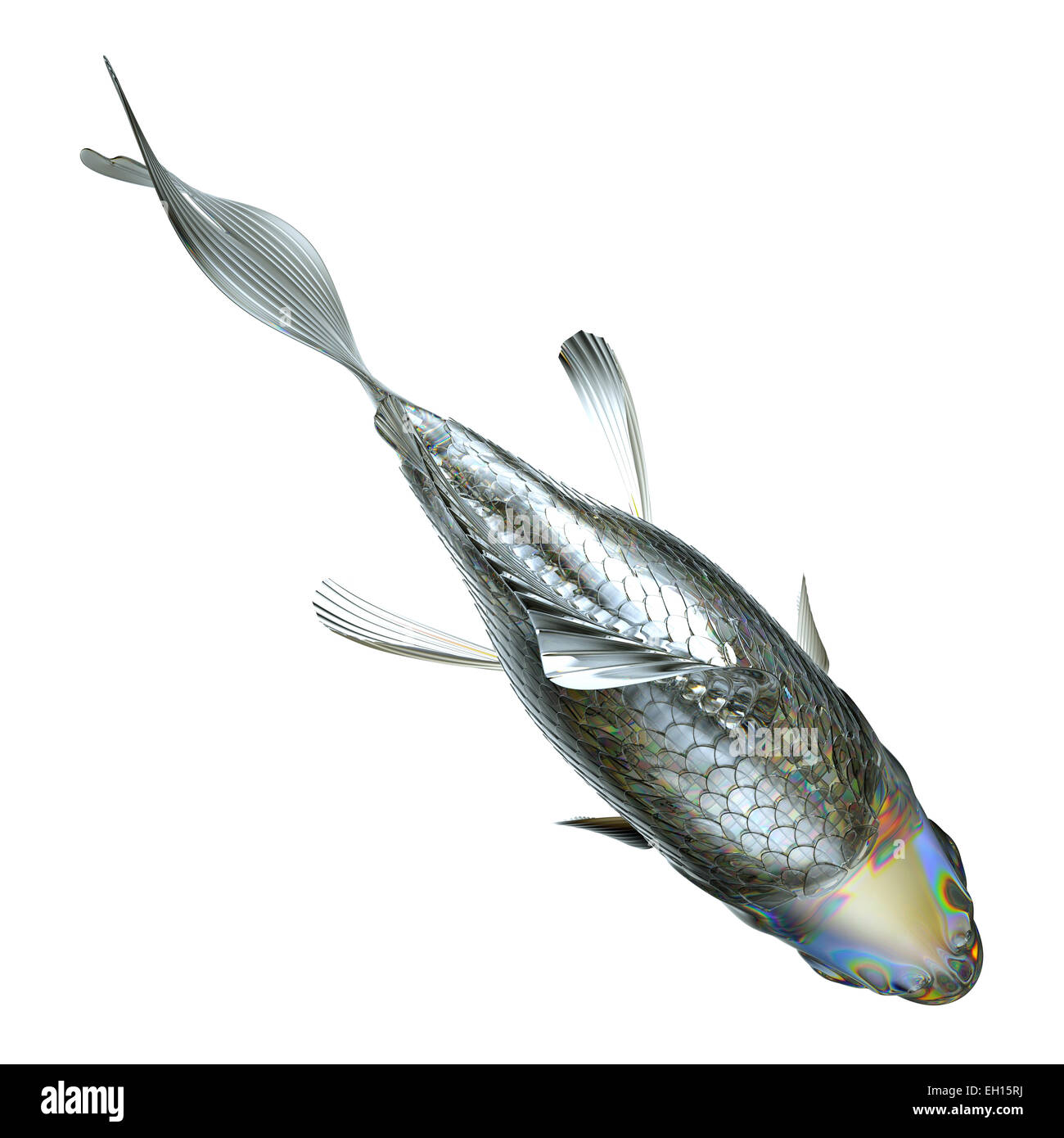 Fish swim top view Cut Out Stock Images & Pictures - Alamy