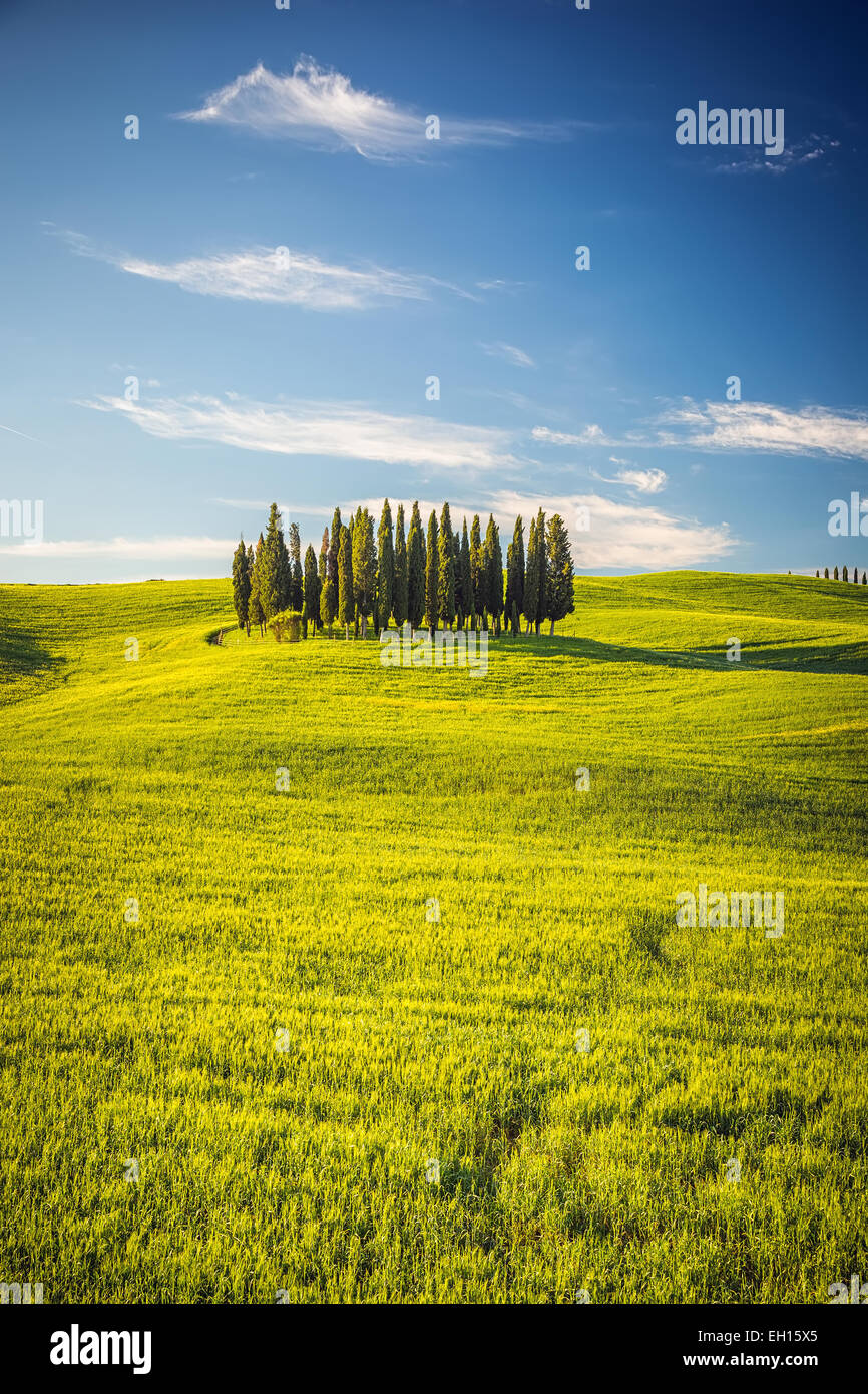Tuscany at spring Stock Photo - Alamy