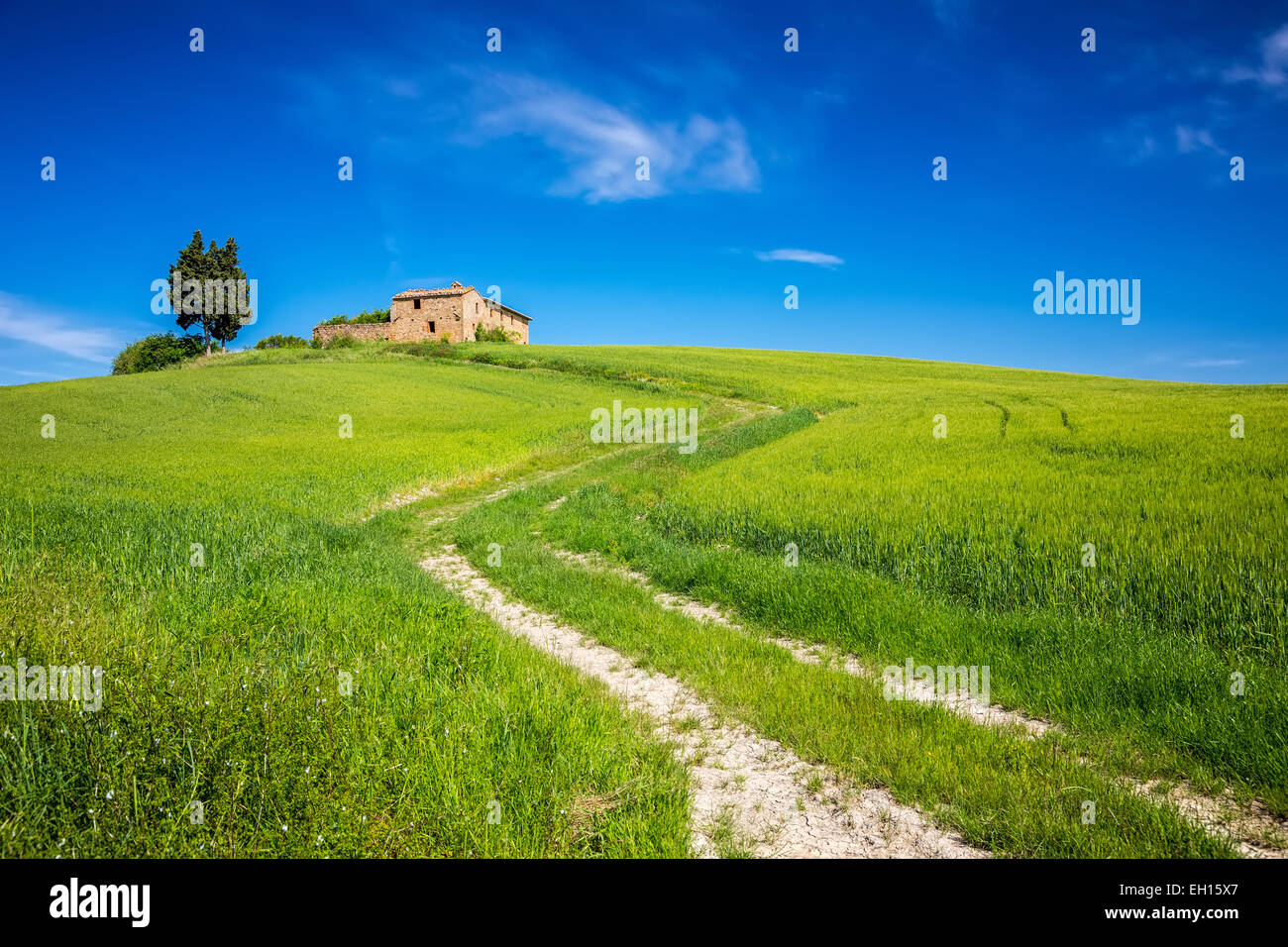 Tuscany at spring Stock Photo - Alamy