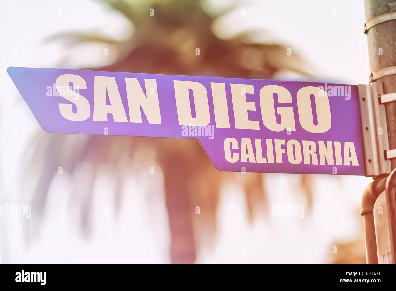 California palm tree sign hi-res stock photography and images - Alamy