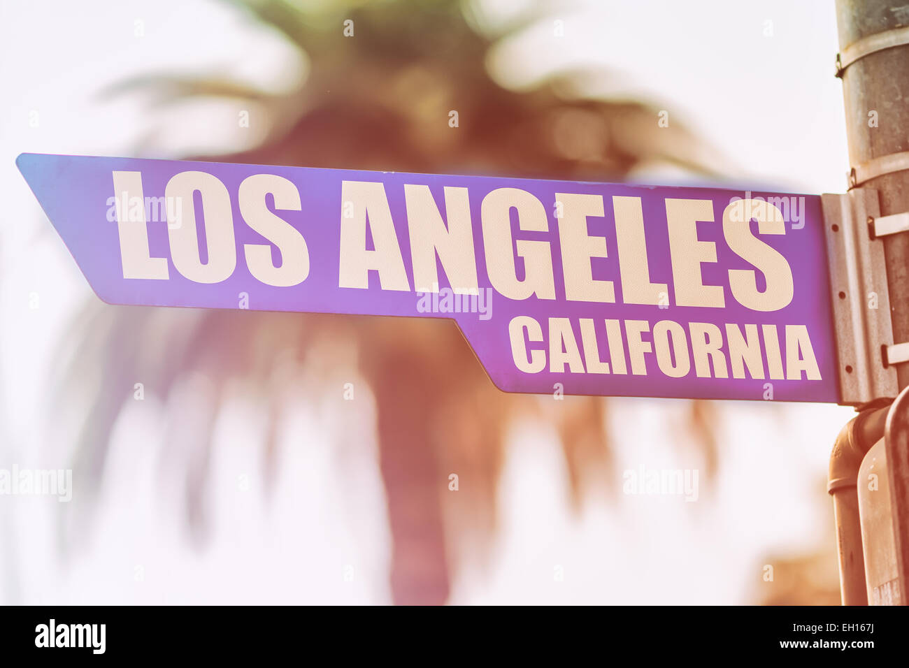 Los angeles palm tree street hi-res stock photography and images - Alamy