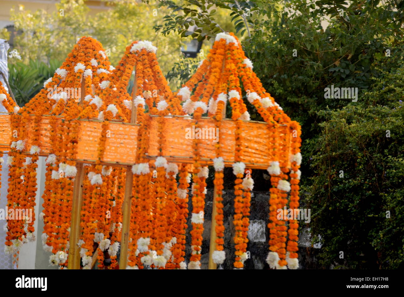 India orange flowers hi-res stock photography and images - Alamy