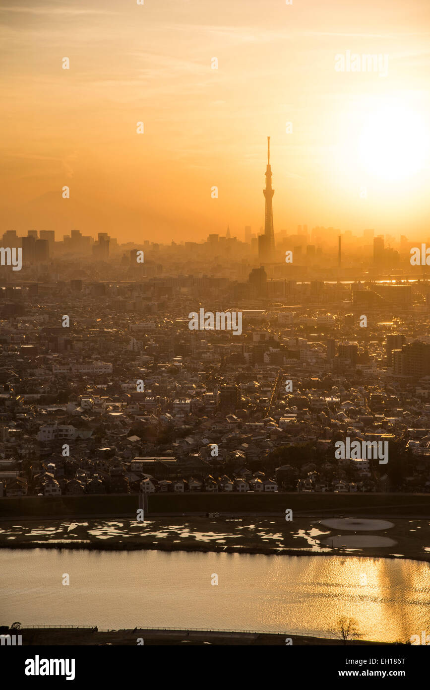 Tokyo Skytree and Mt.Fuji,View from I－Link Town Ichikawa,Ichikawa city ...