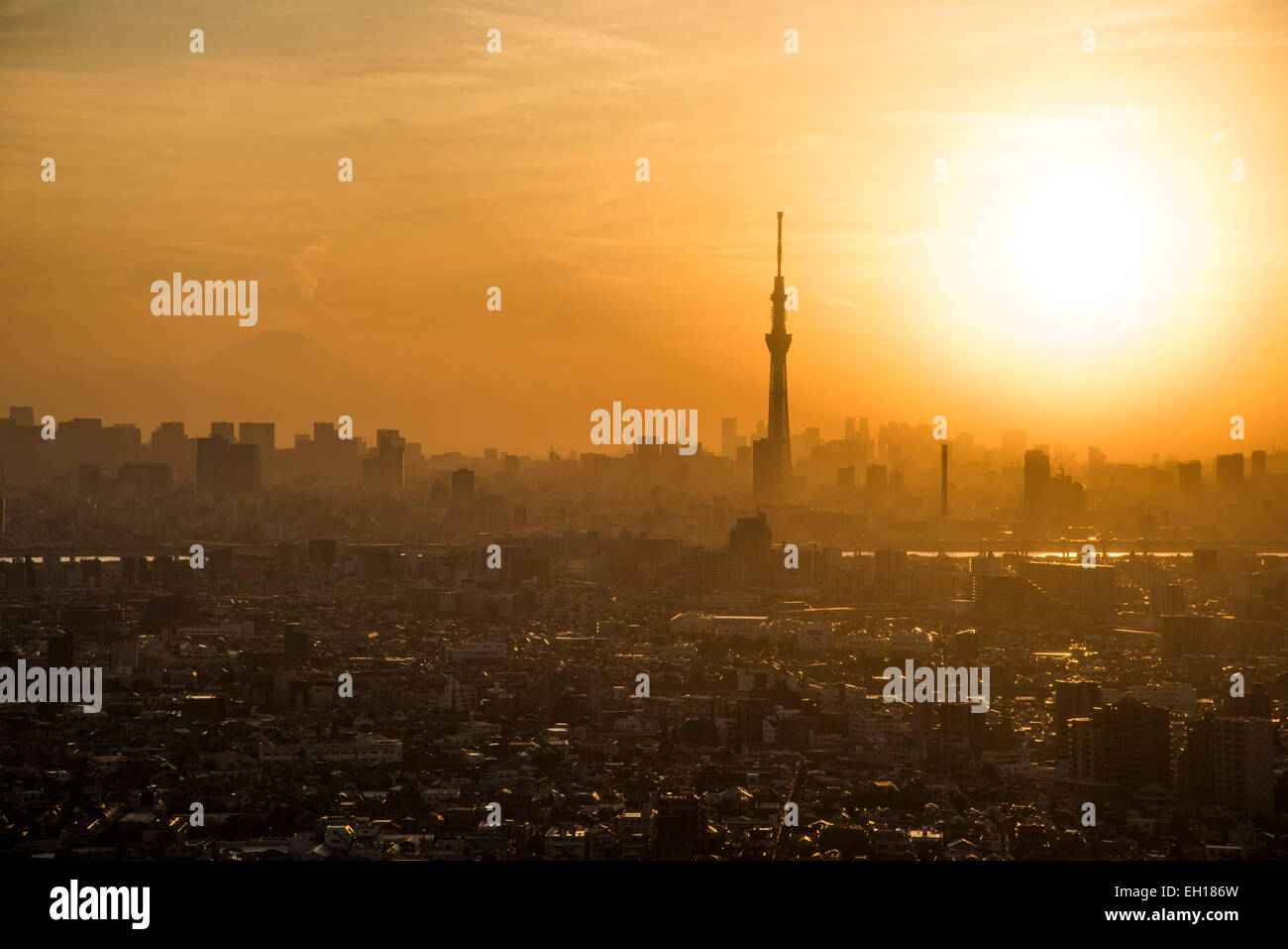 Tokyo Skytree and Mt.Fuji,View from I－Link Town Ichikawa,Ichikawa city ...