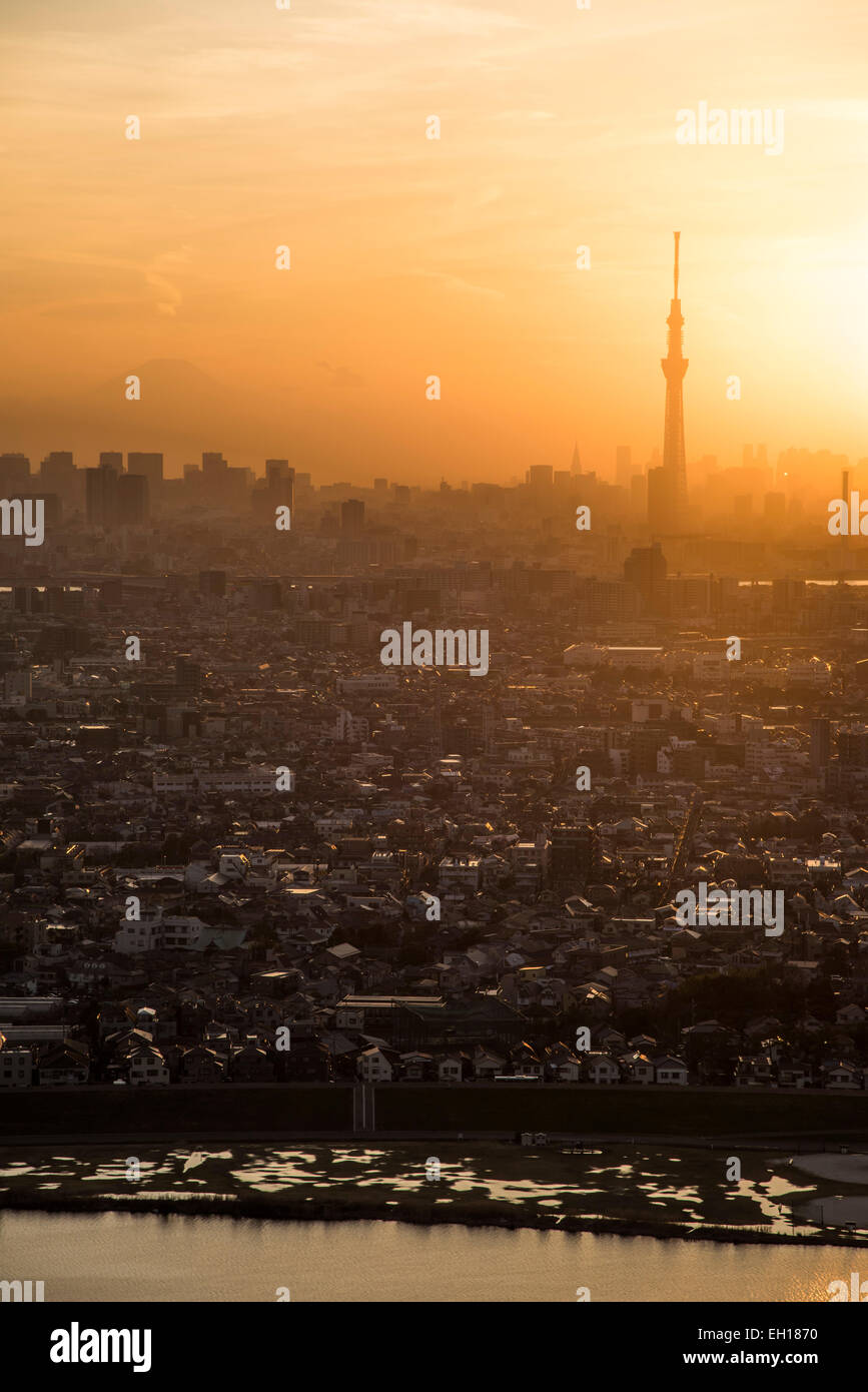Tokyo Skytree and Mt.Fuji,View from I－Link Town Ichikawa,Ichikawa city ...