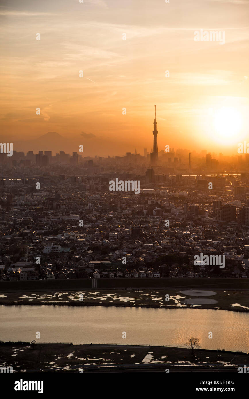 Tokyo Skytree and Mt.Fuji,View from I－Link Town Ichikawa,Ichikawa city ...