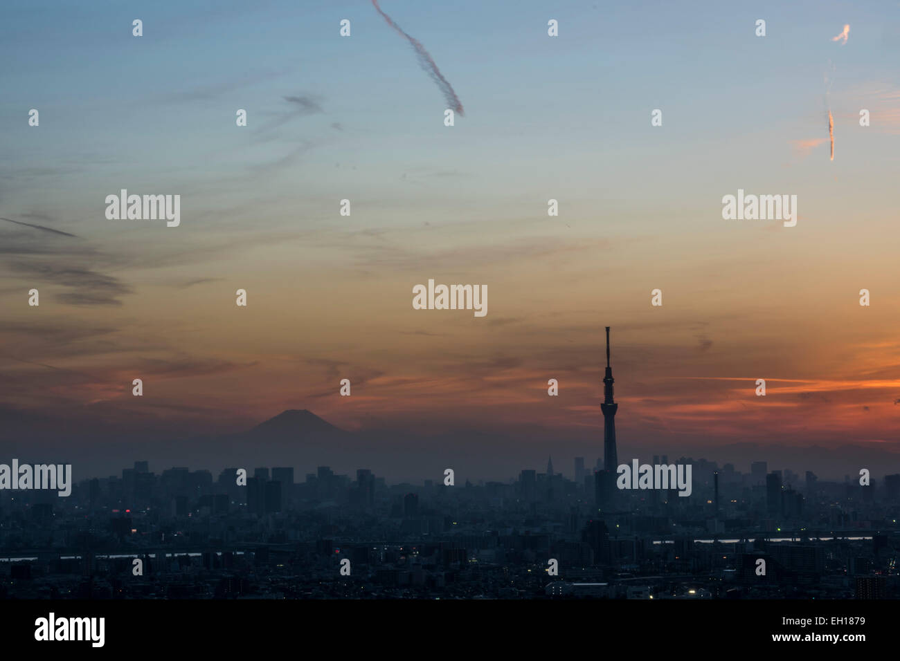 Tokyo Skytree and Mt.Fuji,View from I－Link Town Ichikawa,Ichikawa city ...