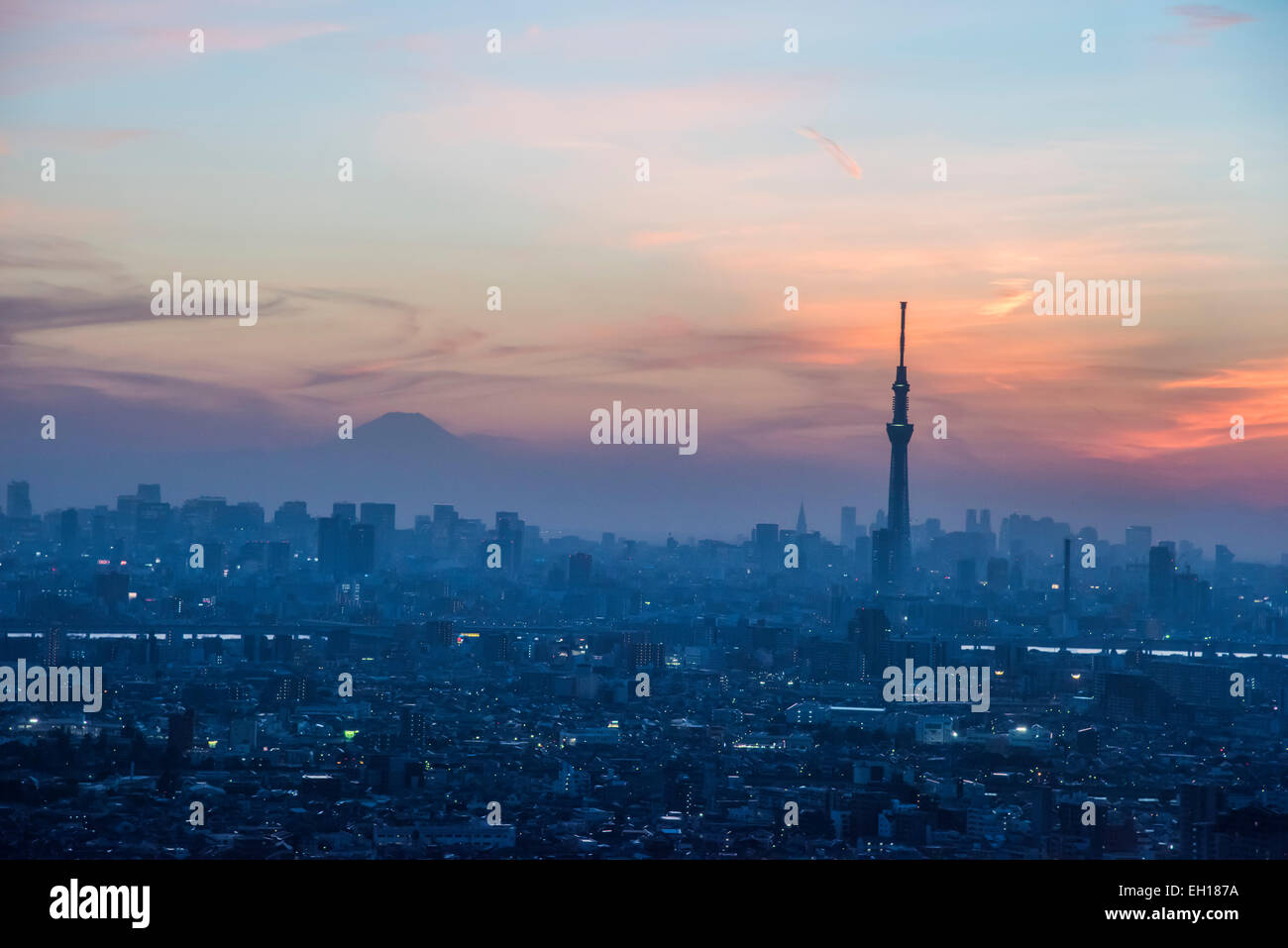 Tokyo Skytree and Mt.Fuji,View from I－Link Town Ichikawa,Ichikawa city ...