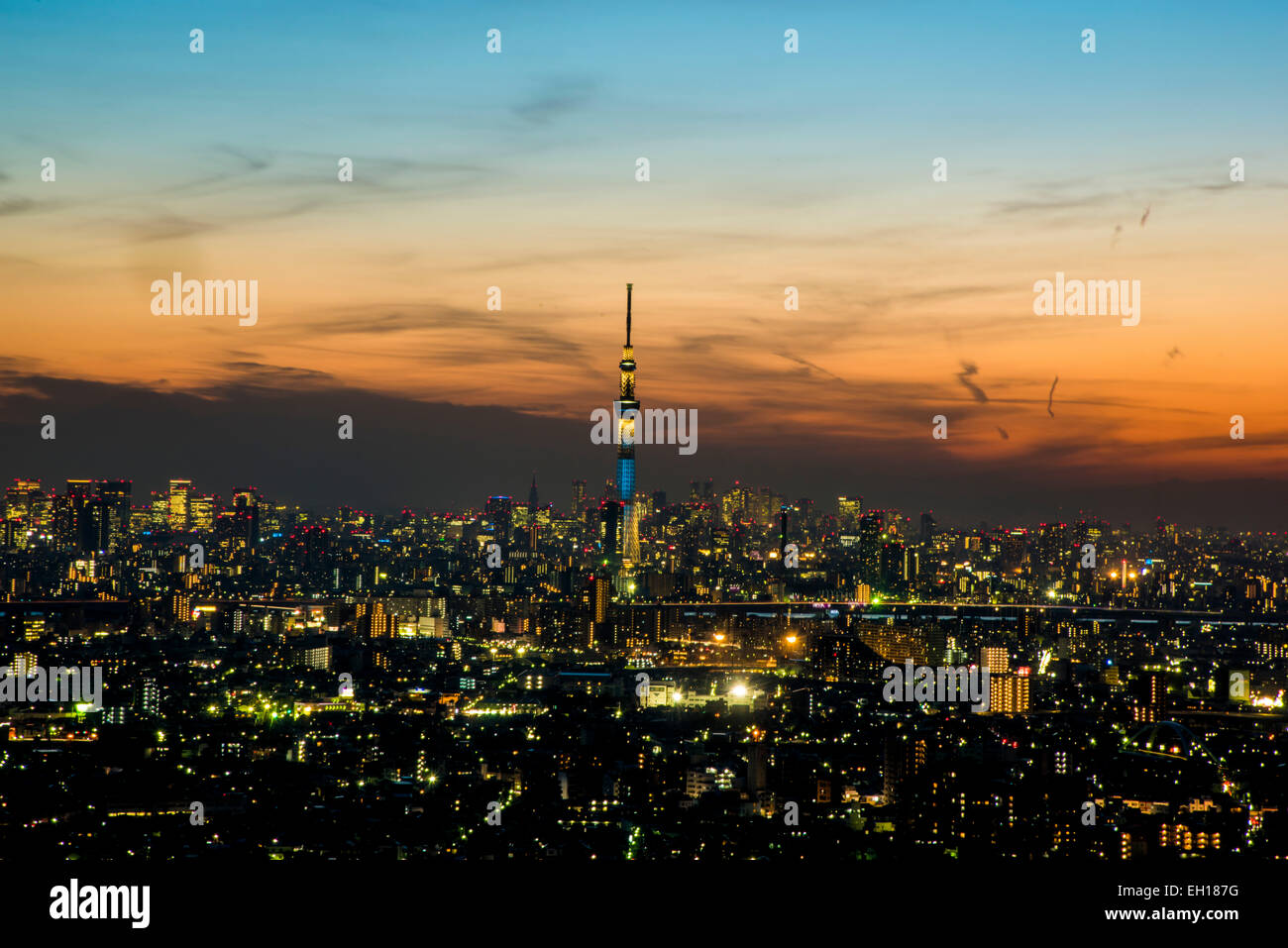 Tokyo Skytree,View from I－Link Town Ichikawa,Ichikawa city,Chiba ...