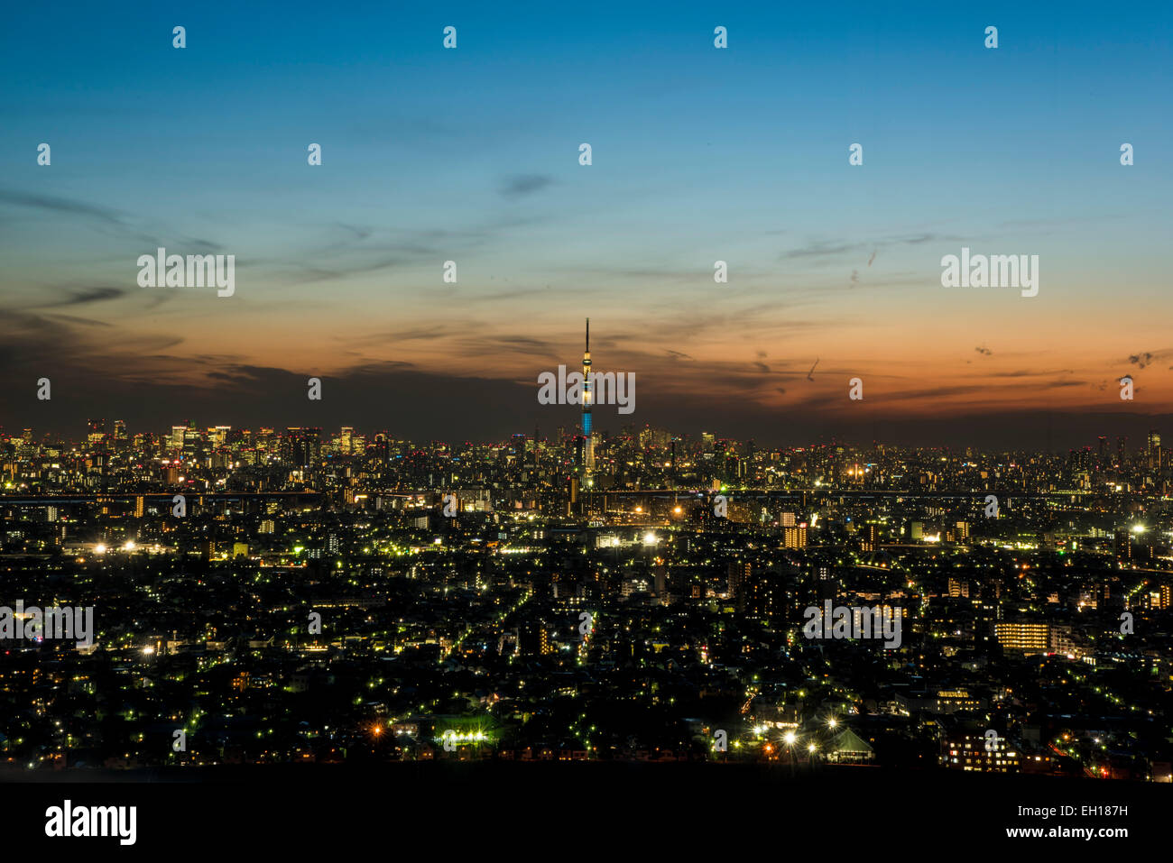 Tokyo Skytree,View from I－Link Town Ichikawa,Ichikawa city,Chiba ...