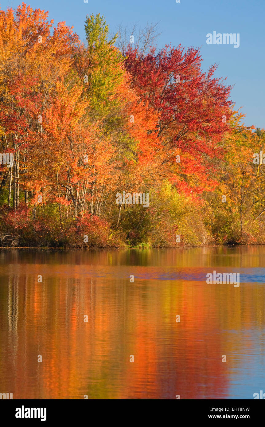 CT01657 Batterson Park Pond in autumn, Batterson Park Pond State Boat ...