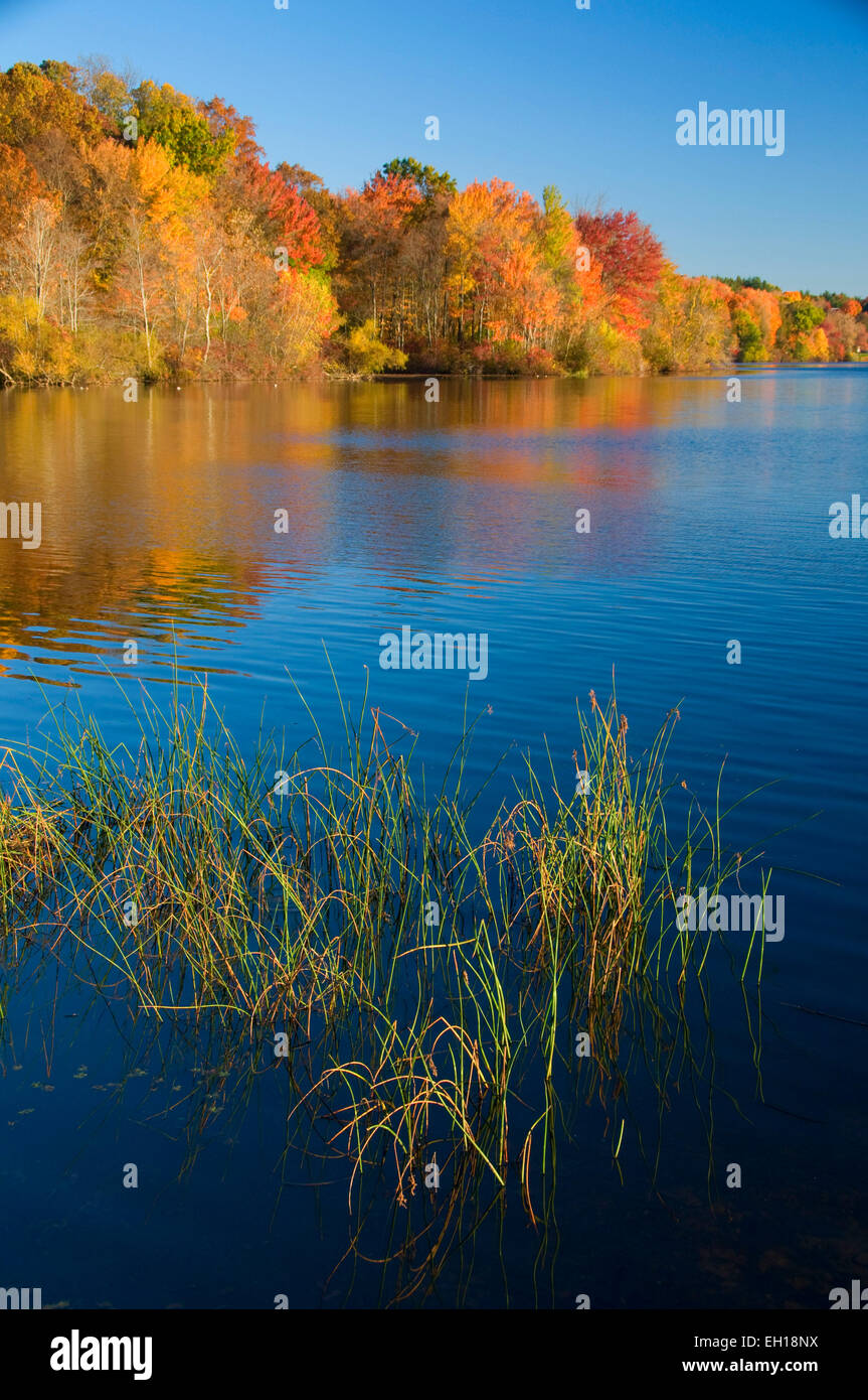 Batterson Park Pond in autumn, Batterson Park Pond State Boat Launch ...
