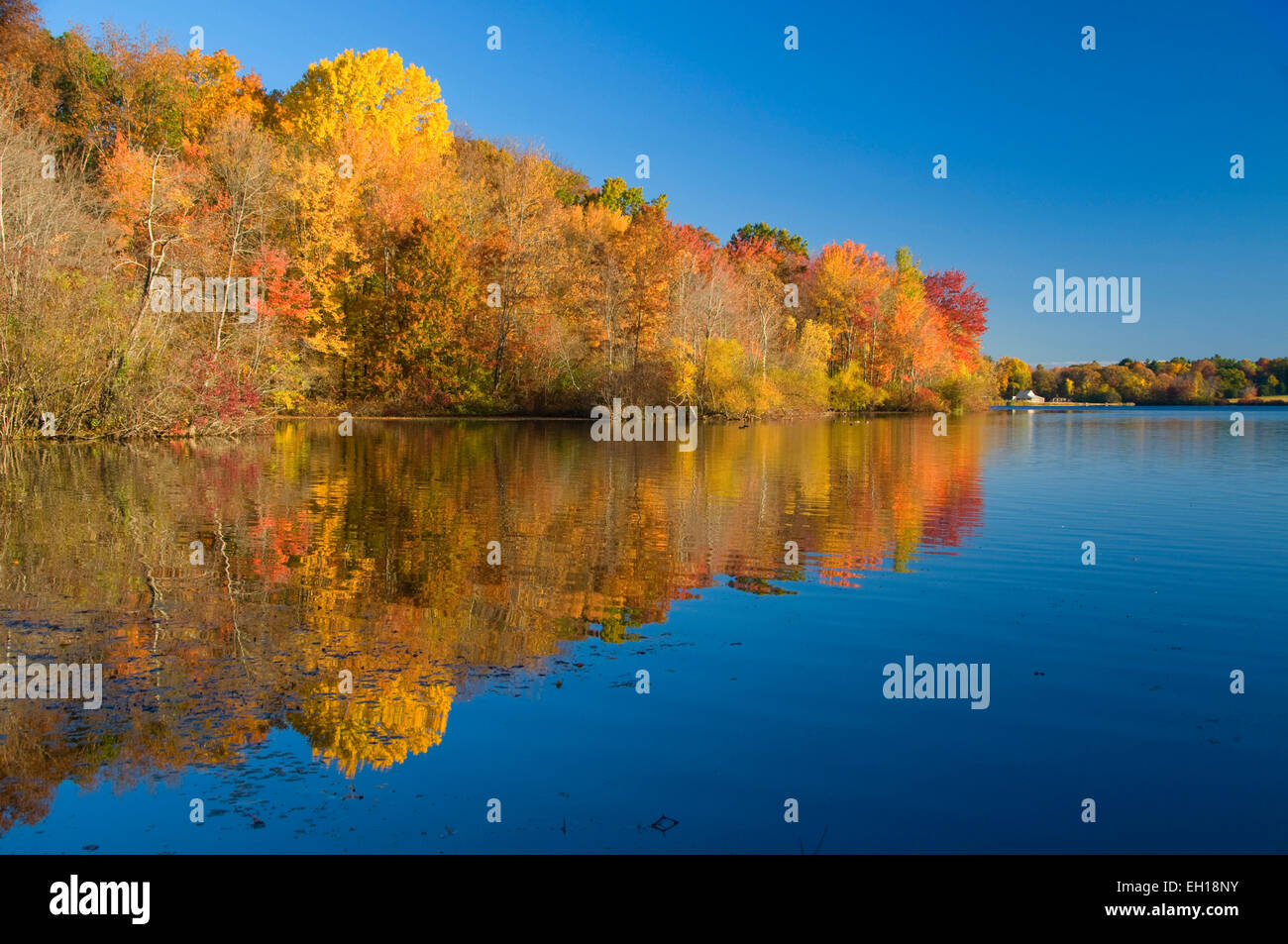 CT01665 Batterson Park Pond in autumn, Batterson Park Pond State Boat ...