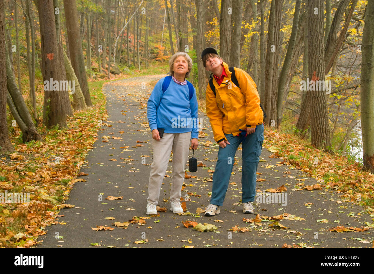 Rail-trail, Farmington River Trail, Connecticut Stock Photo - Alamy
