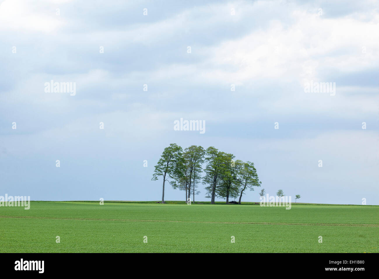 Fields trees canada hi-res stock photography and images - Alamy