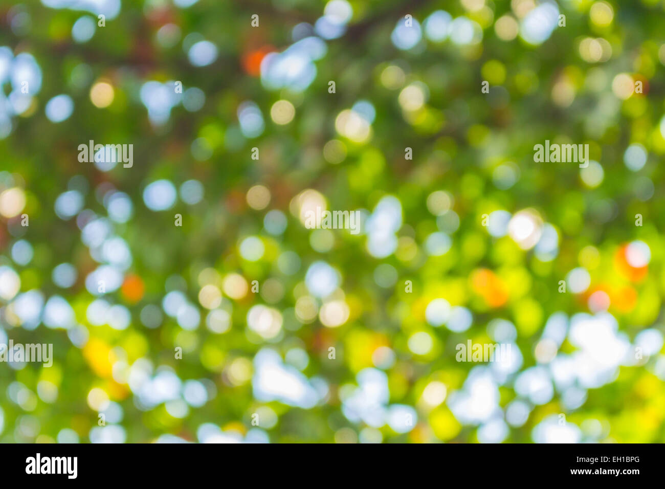 Light beneath hi-res stock photography and images - Alamy