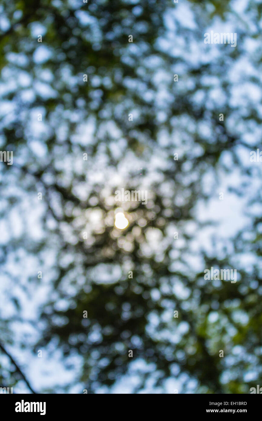 Streaming leaves hi-res stock photography and images - Alamy