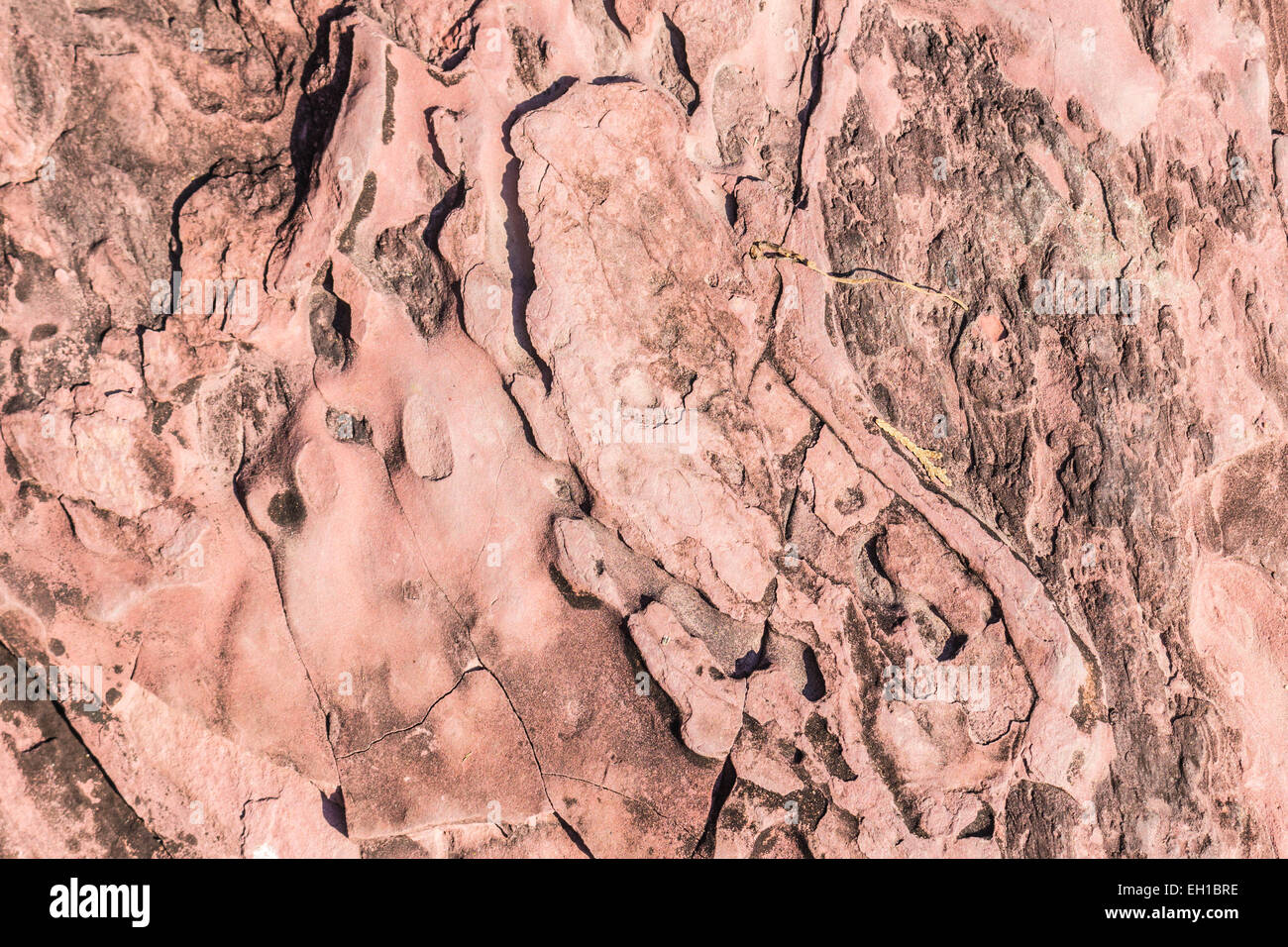 Surface of rocks visible detail Stock Photo - Alamy