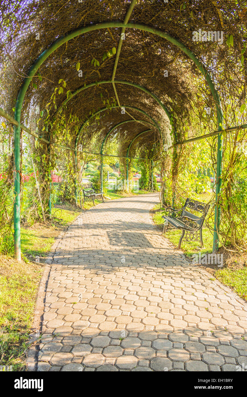 Walkway lined with blocks in the park Stock Photo - Alamy