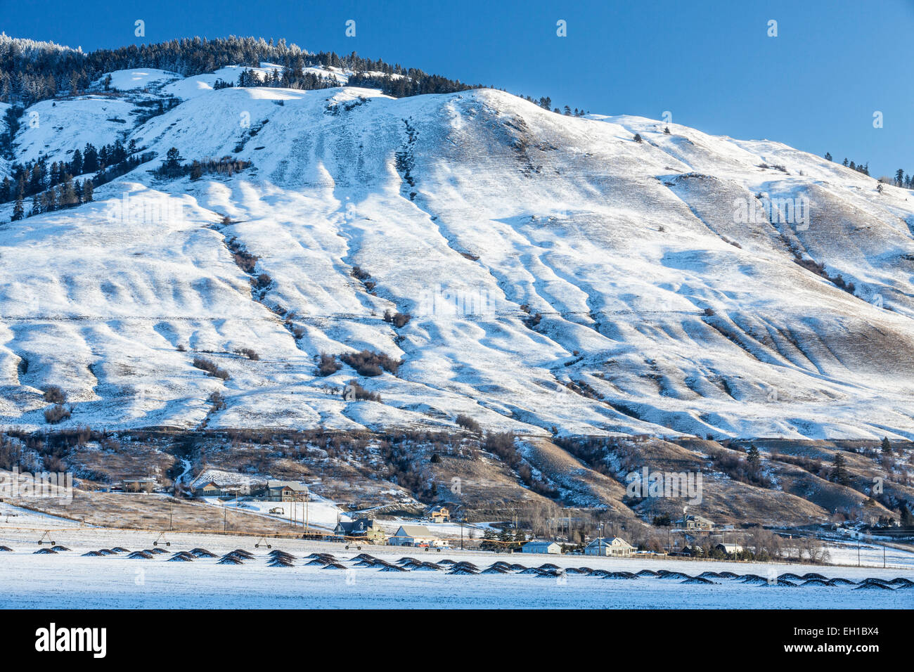 Coldstream hills hi-res stock photography and images - Alamy