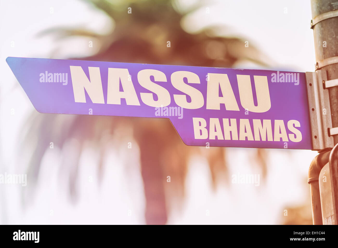 Bahamas palm tree hi-res stock photography and images - Alamy