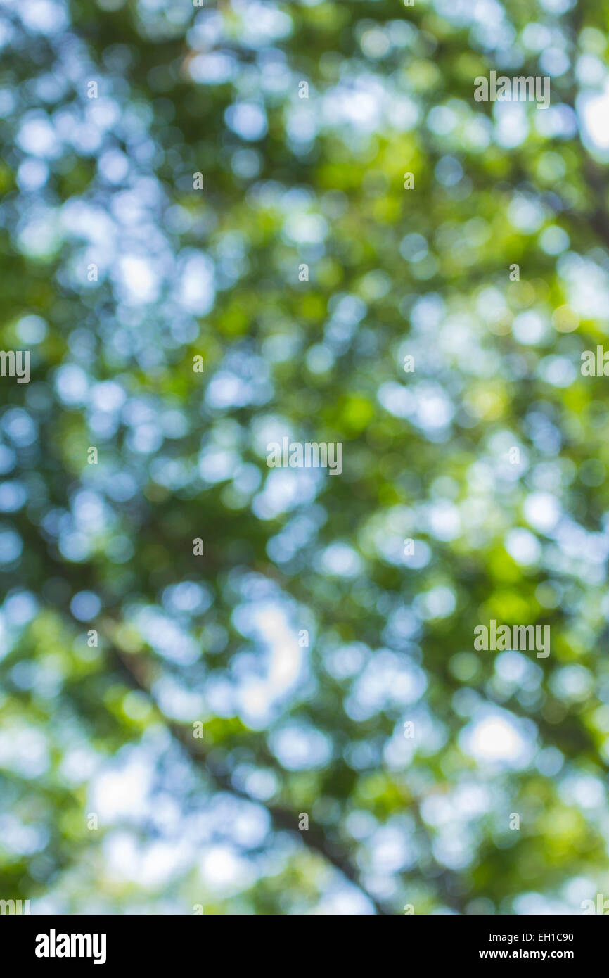 Eve beneath hi-res stock photography and images - Alamy