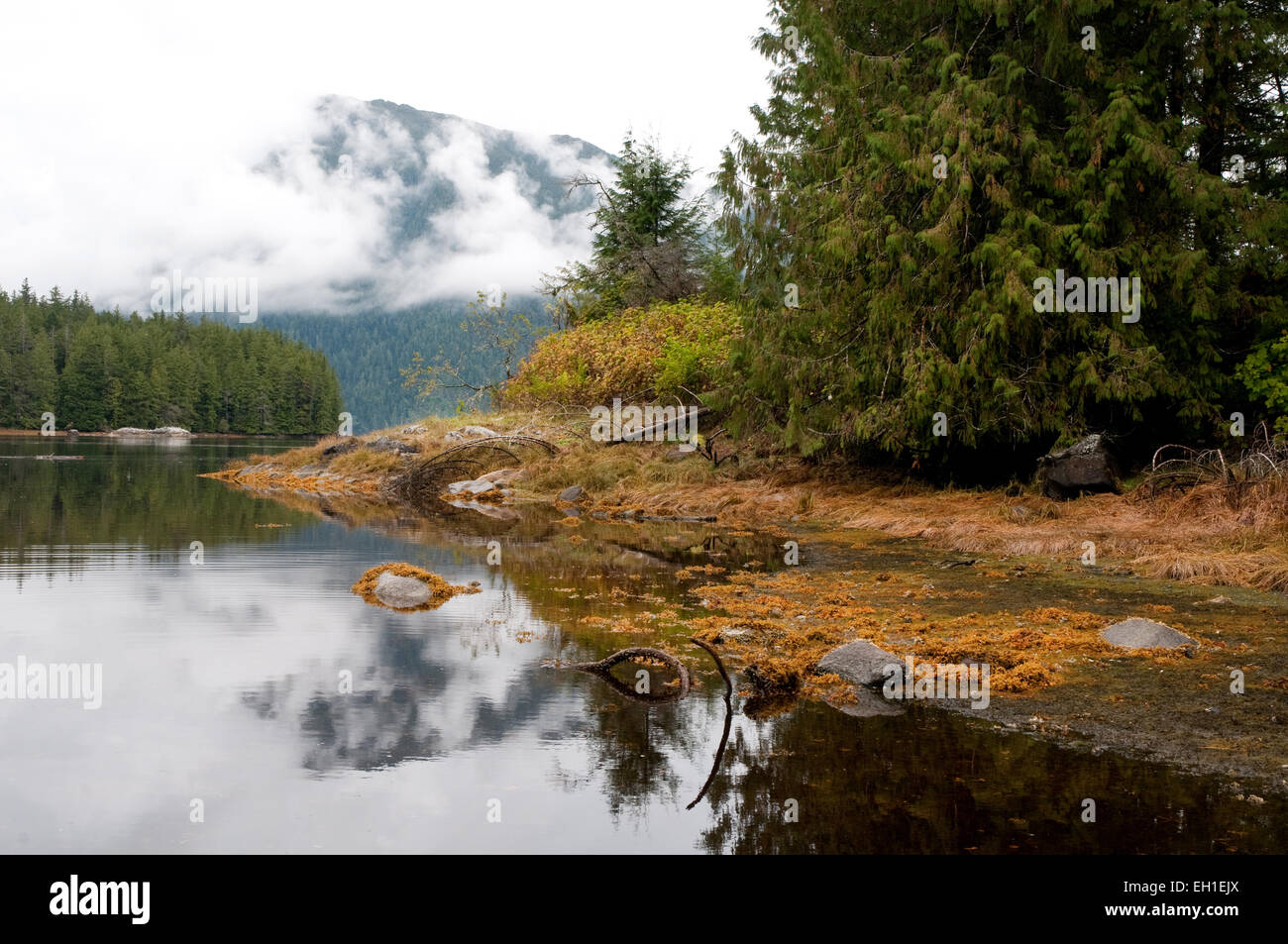 The shoreline of a small Pacific islands at low tide in the Great Bear ...