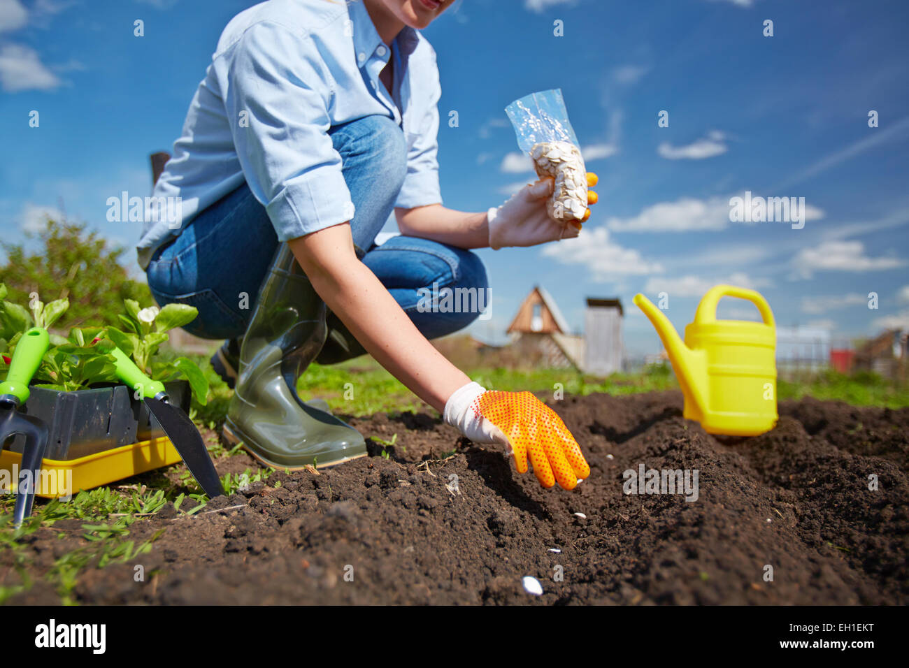 Agriculturist sowing plantation Stock Photo - Alamy