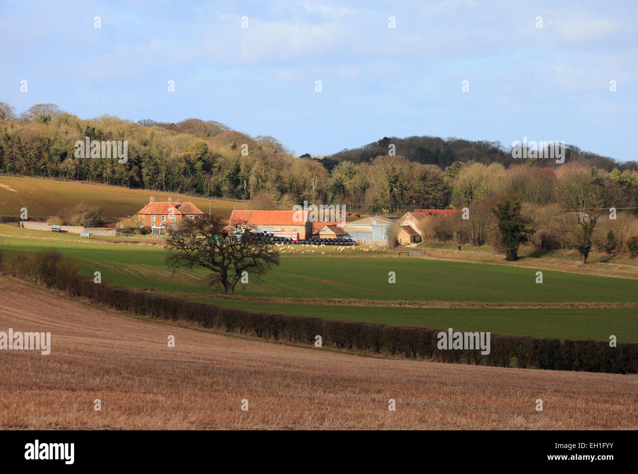 Sedgeford hi-res stock photography and images - Alamy