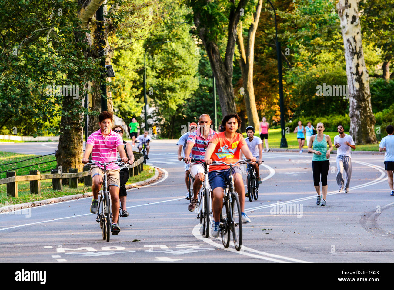 Bicycling and running in Central Park, Manhattan, New York City, USA ...