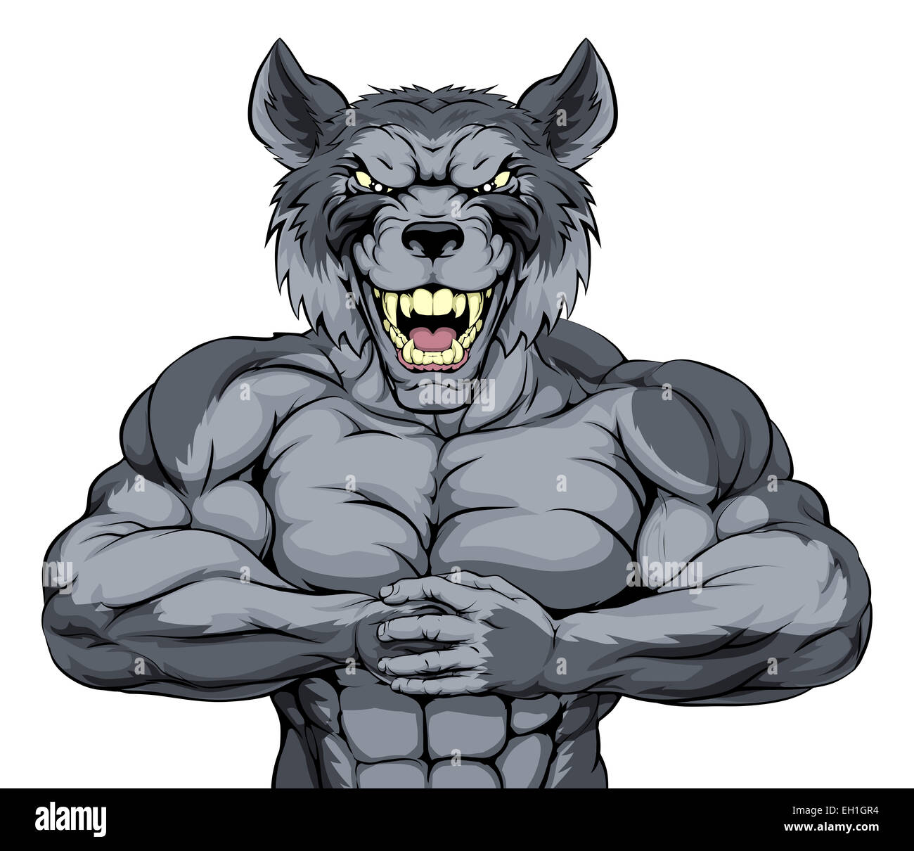 Mean looking wolf character ready for combat punching fist into palm ...