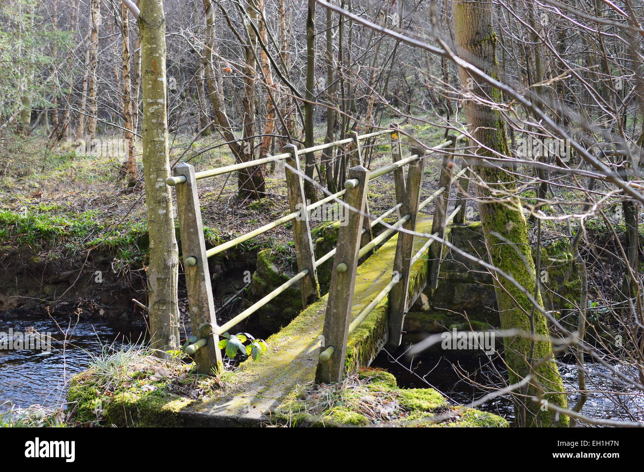 Bridge across Hisehope burn on a public footpath near Castleside ...