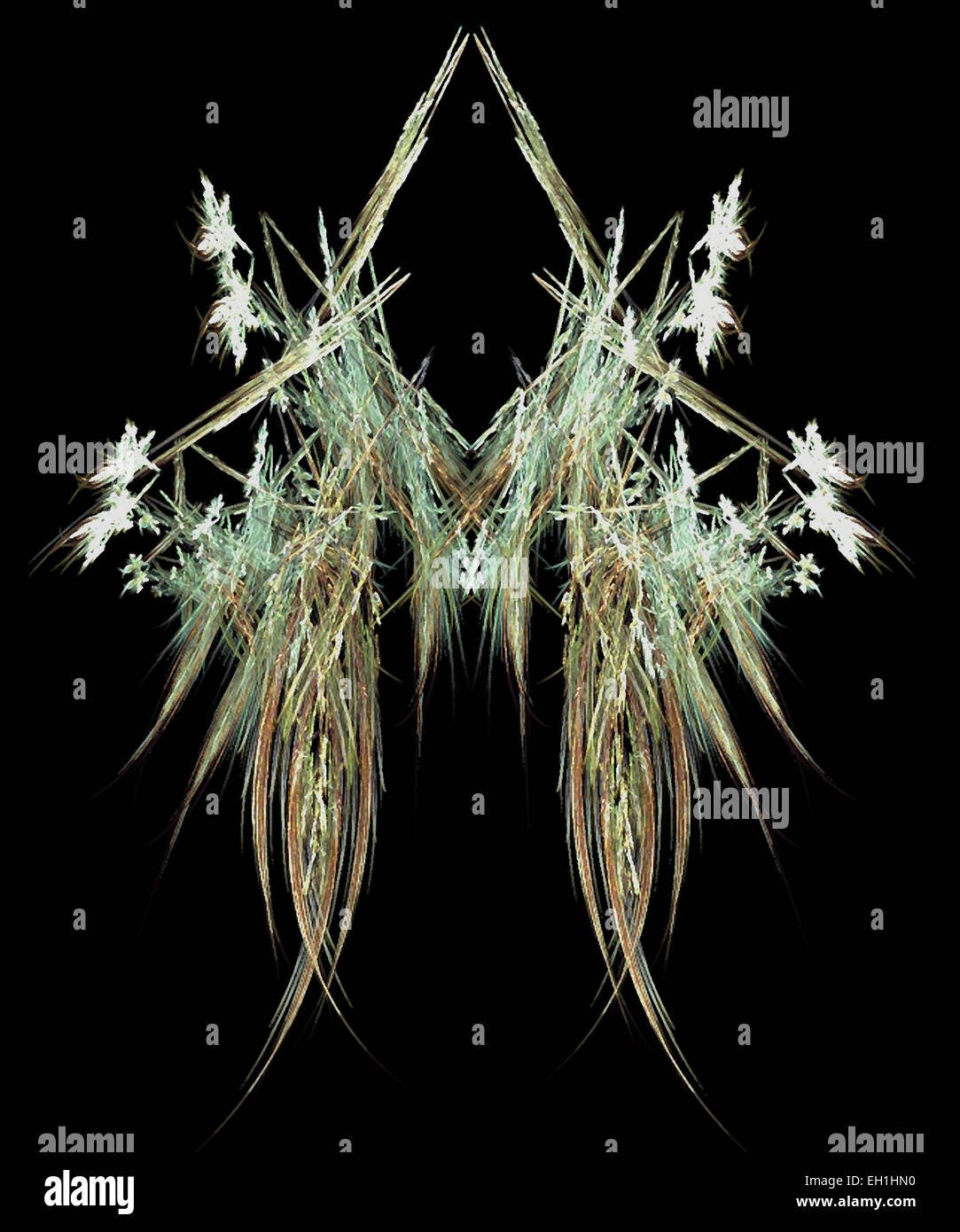 Unique feather patterns hi-res stock photography and images - Alamy