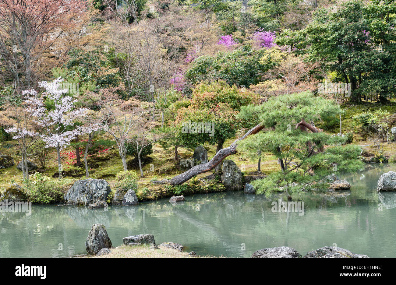 Rinzai zen temple tenryu ji hi-res stock photography and images - Alamy