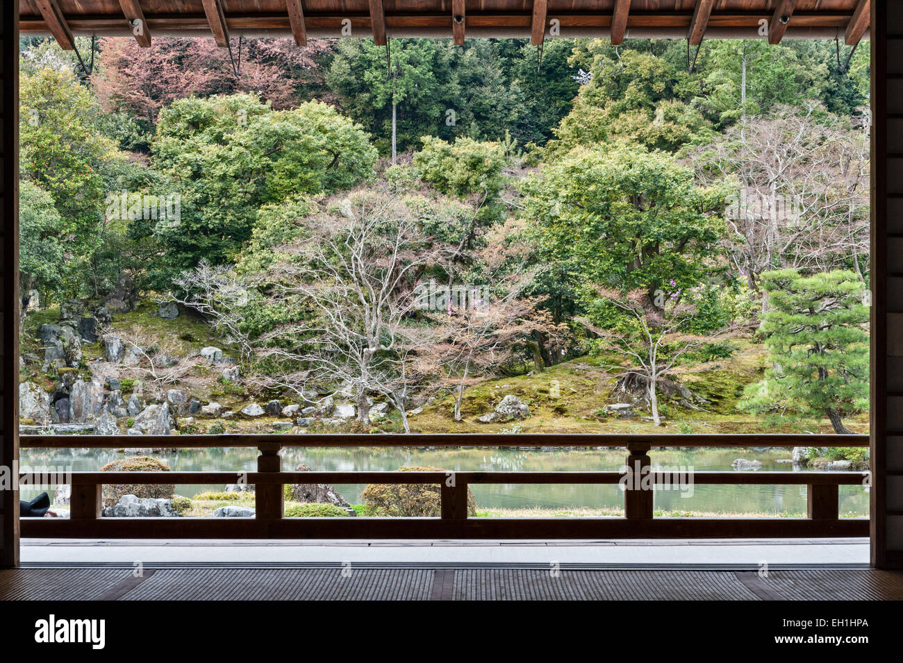 The view from the main hall across the pond in springtime at Tenryu-ji ...