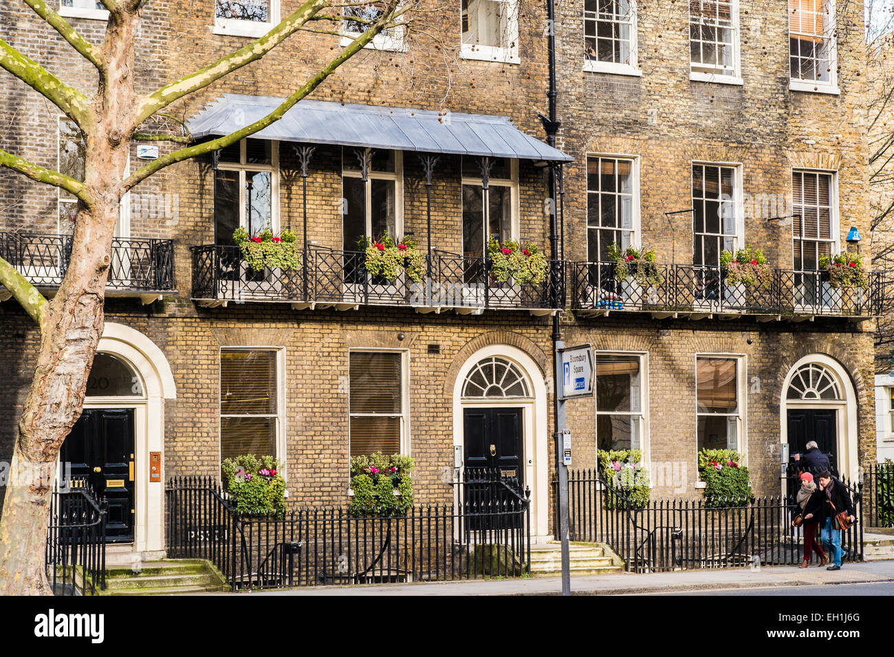 Georgian style houses Great Russell street - London Stock Photo - Alamy